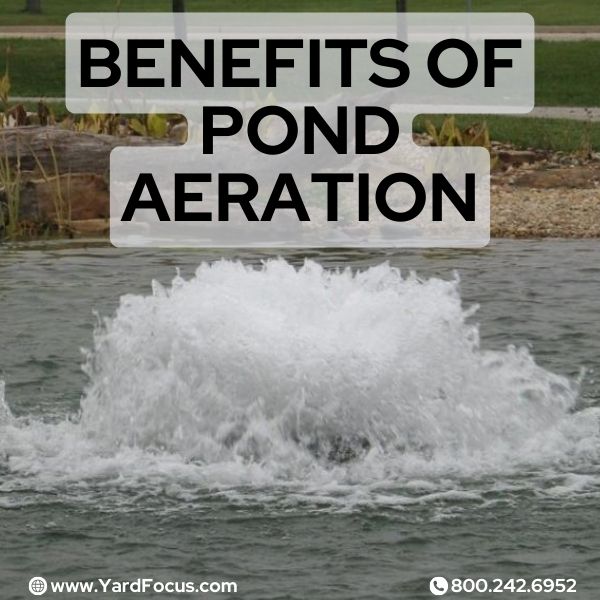 Benefits Of Pond Aeration: Discover Them Today — Yard Focus