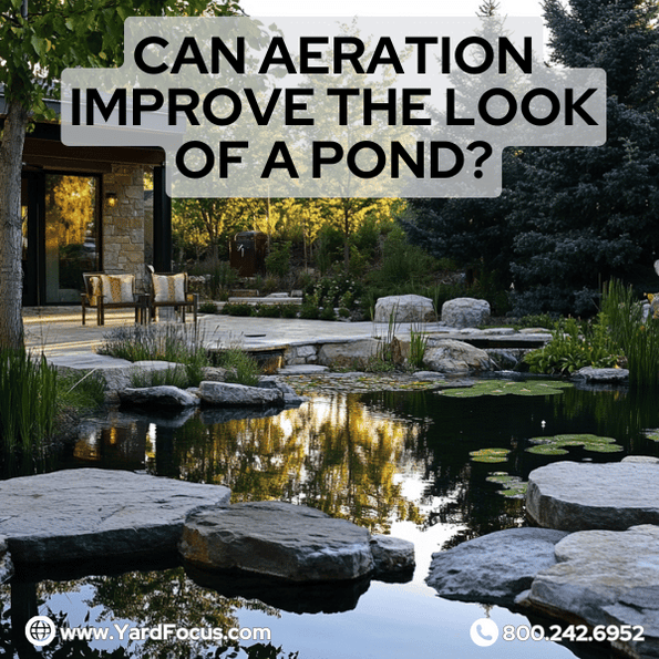 Can Aeration Improve the Look of a Pond? Find Out Here! — Yard Focus
