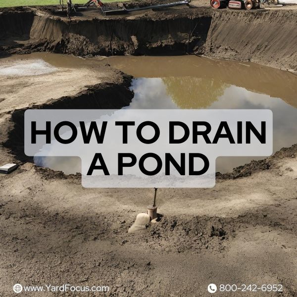 How to Drain a Pond Easily and Effectively — Yard Focus
