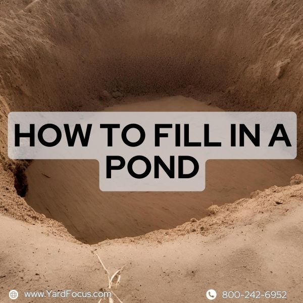 How to Fill in a Pond Quickly and Easily — Yard Focus