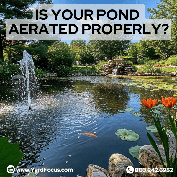 Is your Pond Aerated Properly? Must Read! — Yard Focus